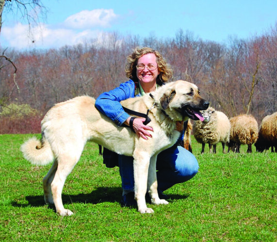 Training Livestock Guardian Dogs – Mother Earth News